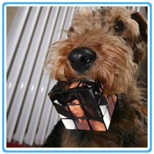 Cool Photo Effects Online - Befunky, Picjoke, Photofunia and Photo ...